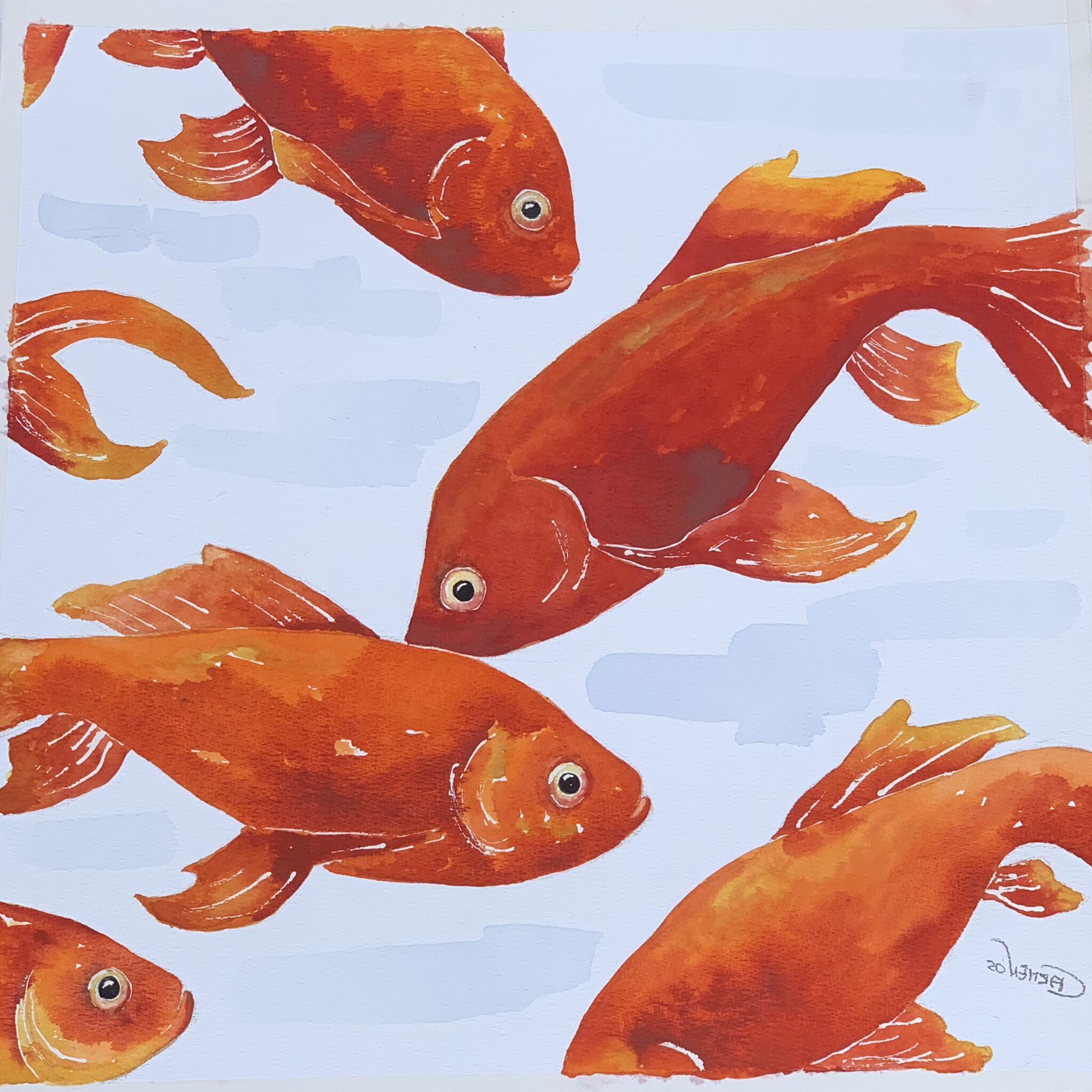 Piska – artkorsou.com